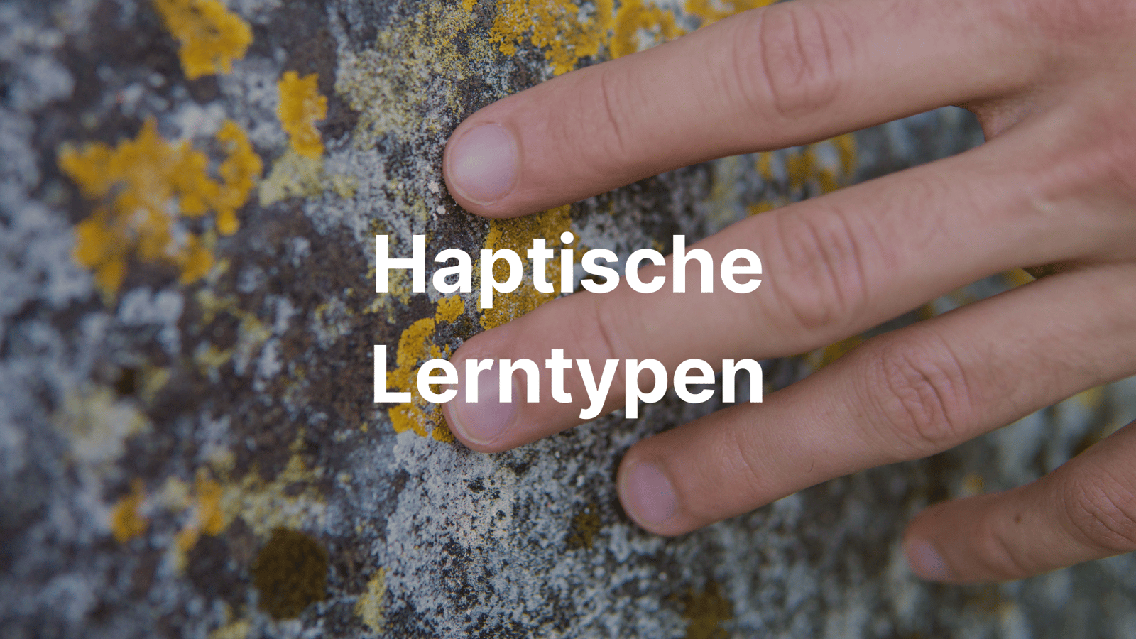 U2D Aprenia Blog | Explore your learning type!